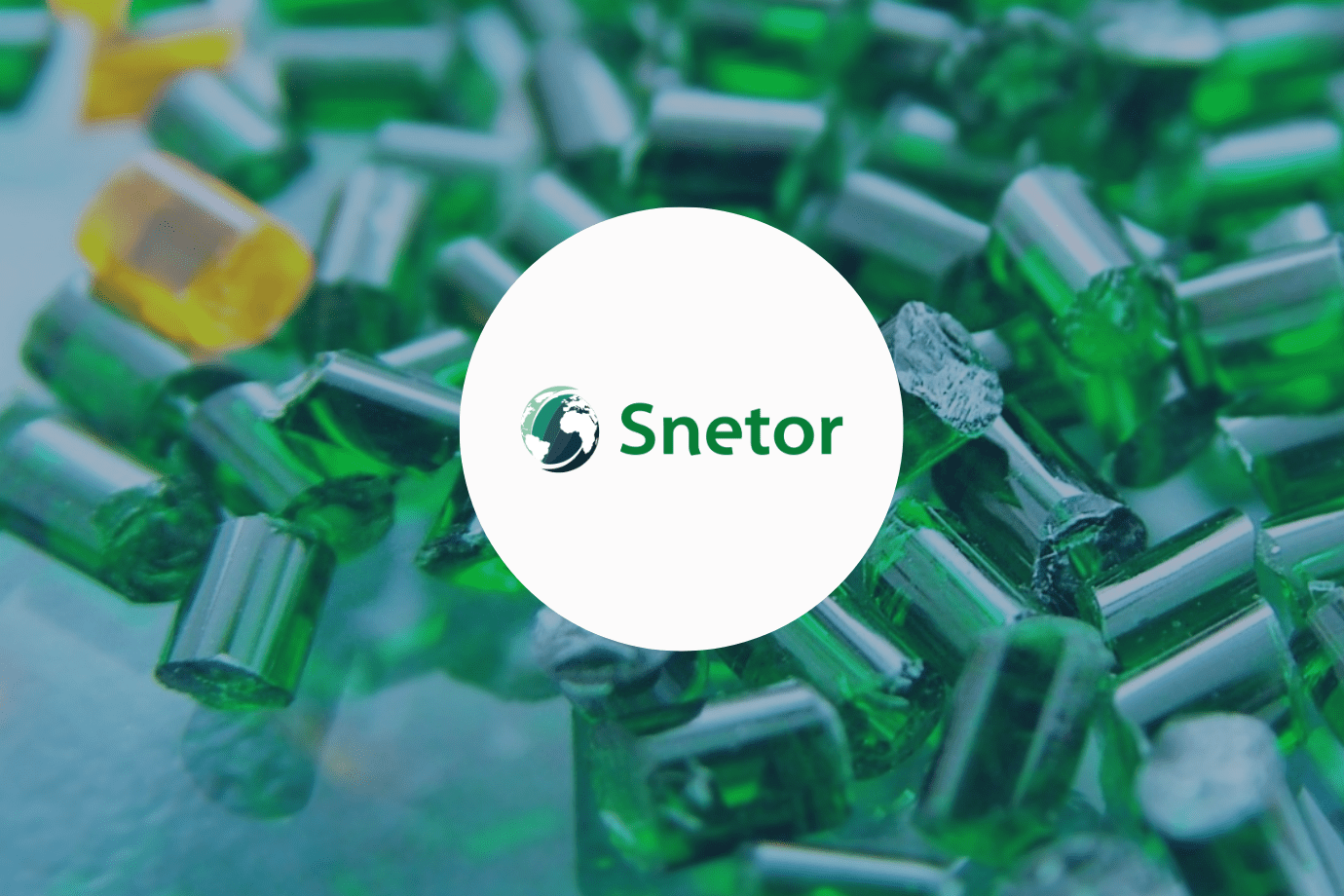 Buyco Client Success Stories - Snetor - Chemical Industry
